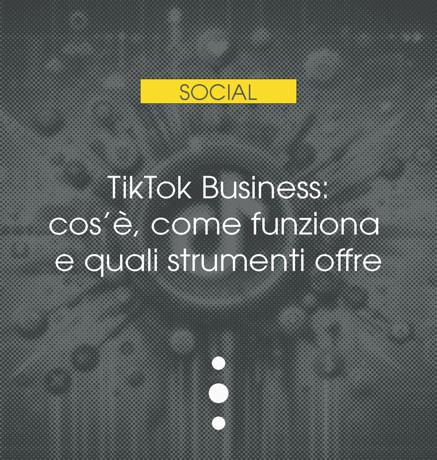 TikTok Business: cos’è, come funziona e quali strumenti offre – Larin Group